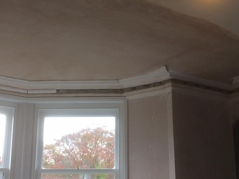 Examples of Detailed Cornicing and Plastering | Penquite Construction ...